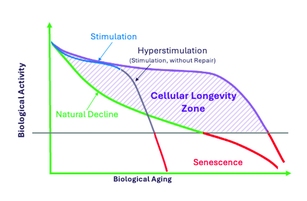 Rethinking Anti-Aging