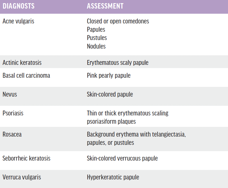 Should You Hire a Scribe?