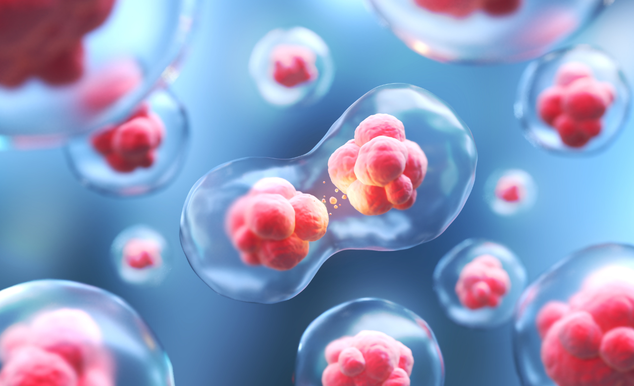 Redefining Aesthetic Aging Through Cellular Medicine - ModernAesthetics